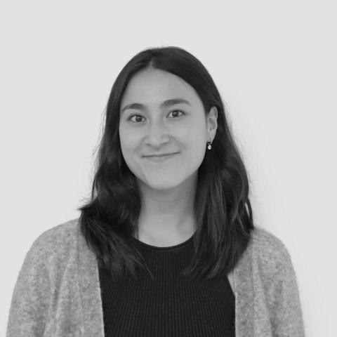 Meet the Team | Constructive Thinking